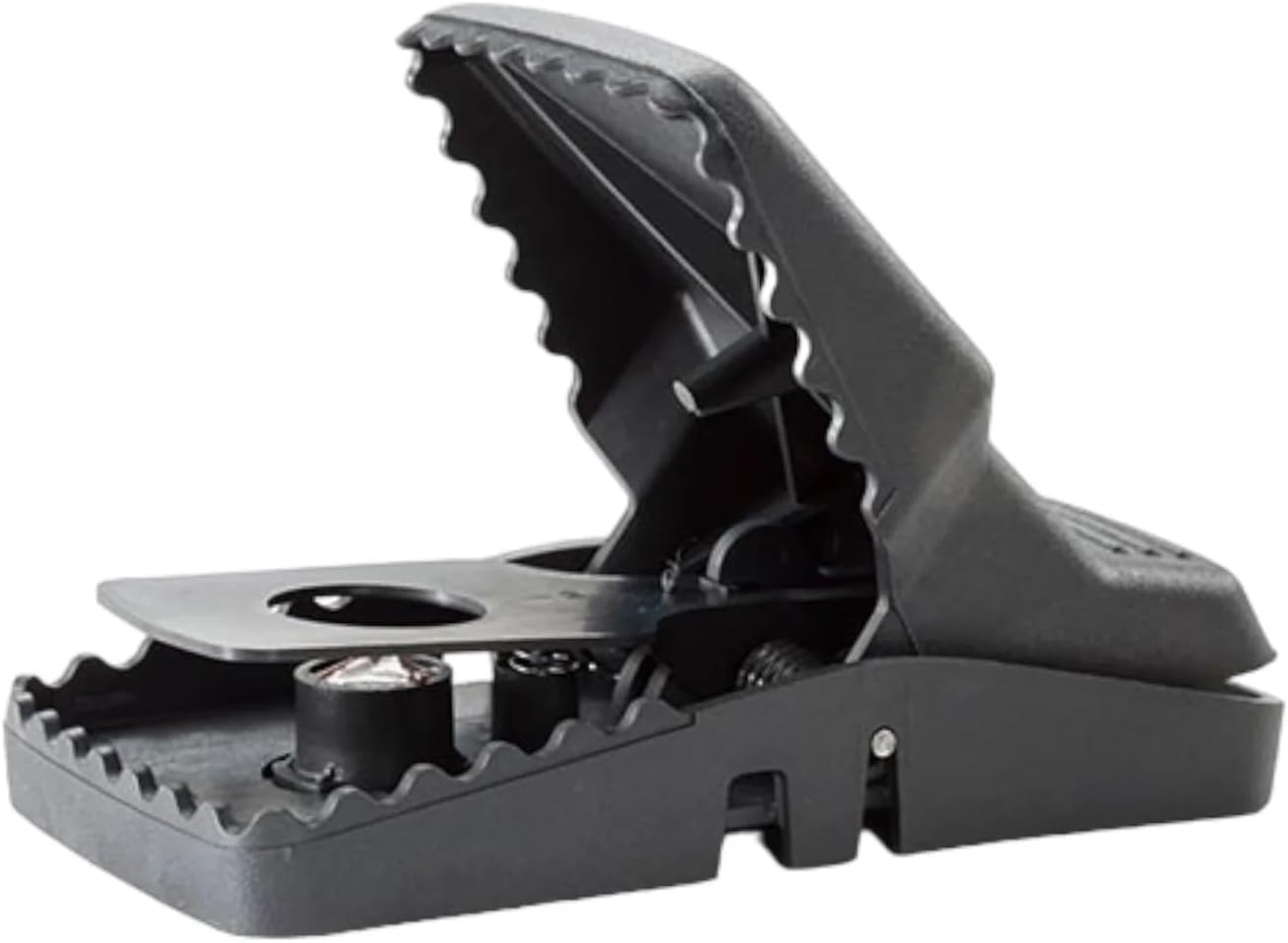 Bell Laboratories Trapper Mini-Rex Mouse Trap - Pack of 6 – iDirect ...